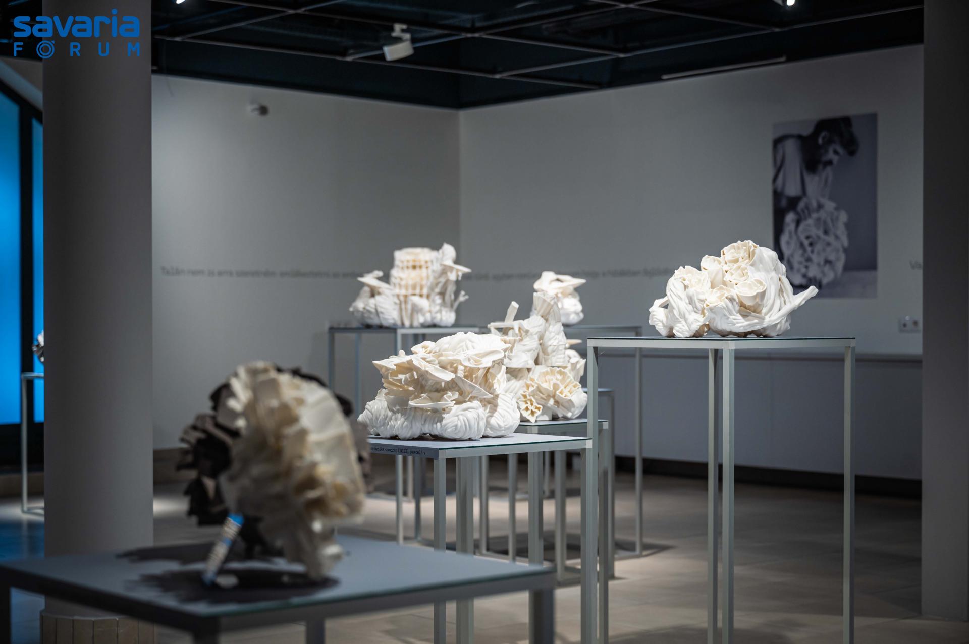 "Mércém a bátorság s a szépség" – Simon Zsolt József alkotásaiból nyílt ...