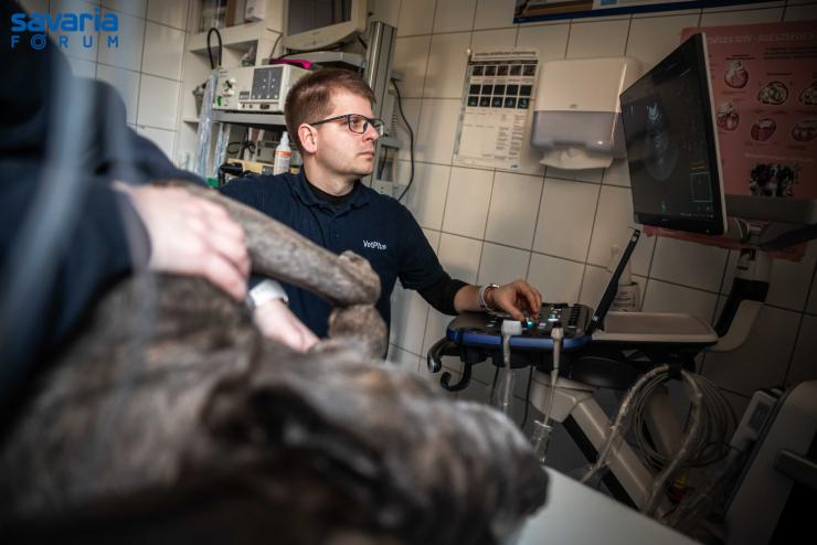 Akkor és most – Dr. Varjú Gábor állatorvos 30 éve a pályán